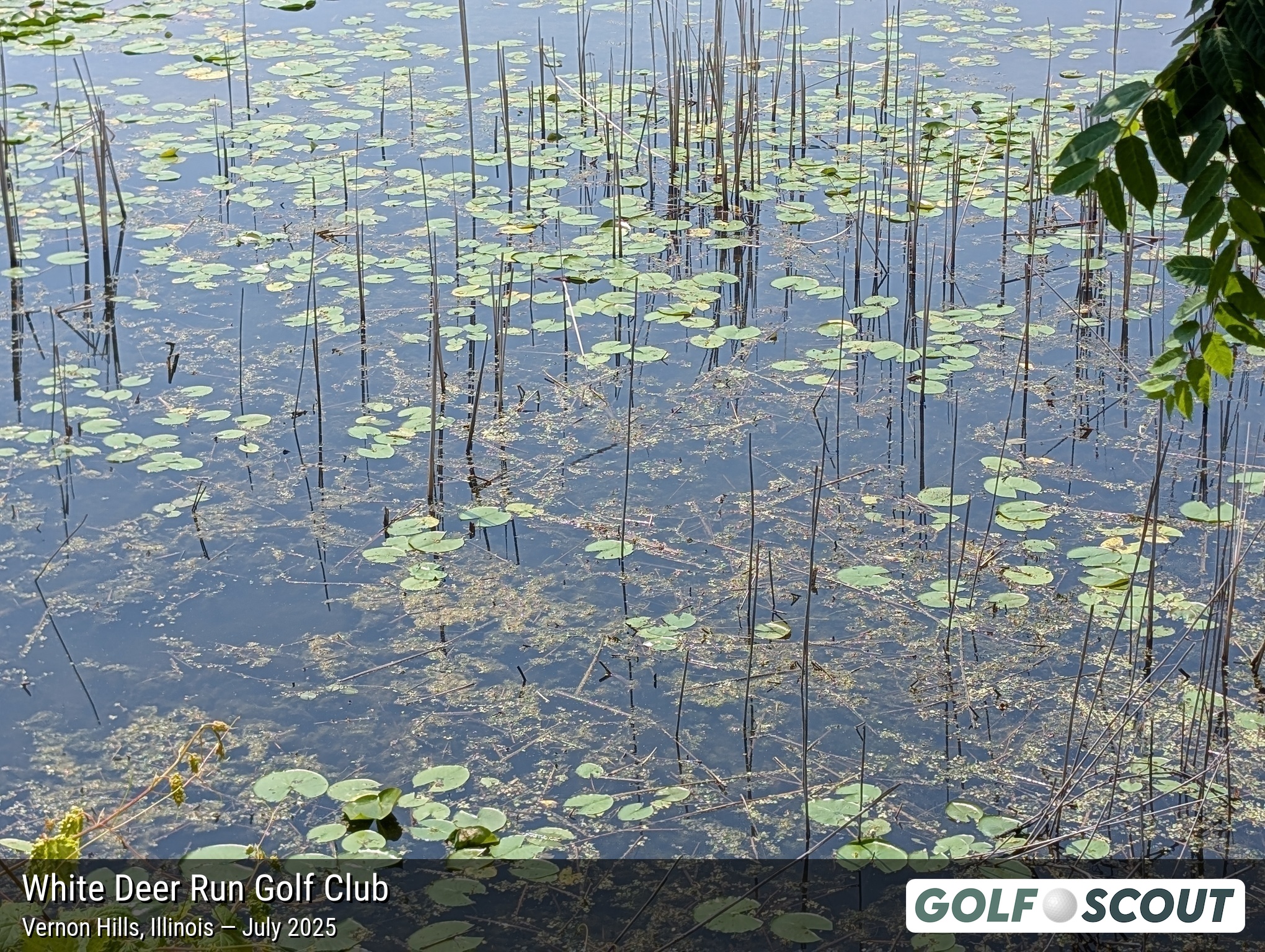 White Deer Run Golf Club: Course Guide with 224 Photos | GolfScout