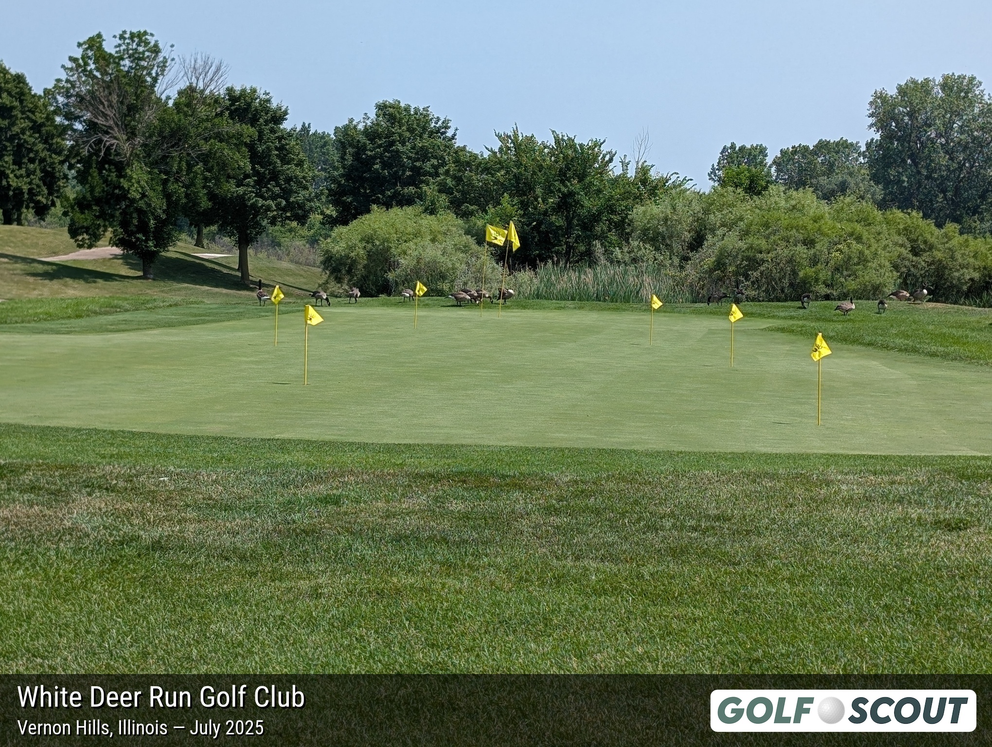 White Deer Run Golf Club: Course Guide with 224 Photos | GolfScout